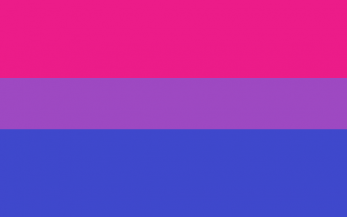 bi flag - Brighton & Hove LGBT Switchboard